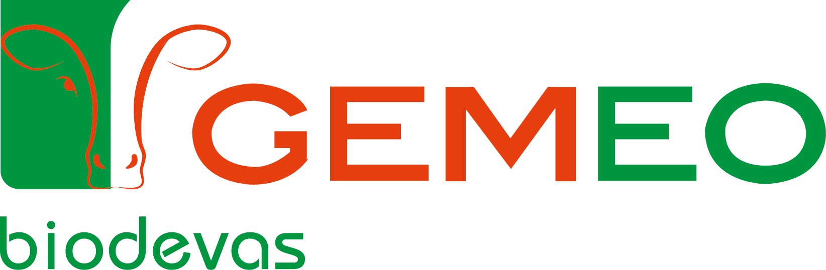 How to deal with coccidiosis in calves - Biodevas Laboratoires